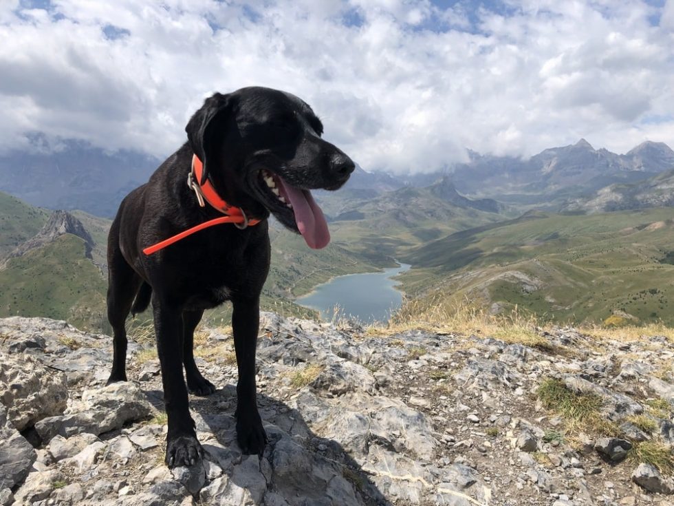 A Pyrenees walking holiday - first holiday of the season July 2021